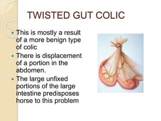 Colic by bharti raj sondhi(types and nutritional therapy and ...