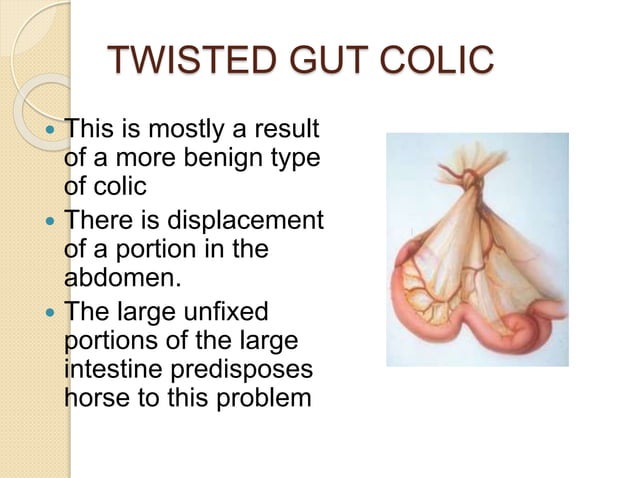 Colic by bharti raj sondhi(types and nutritional therapy and ...