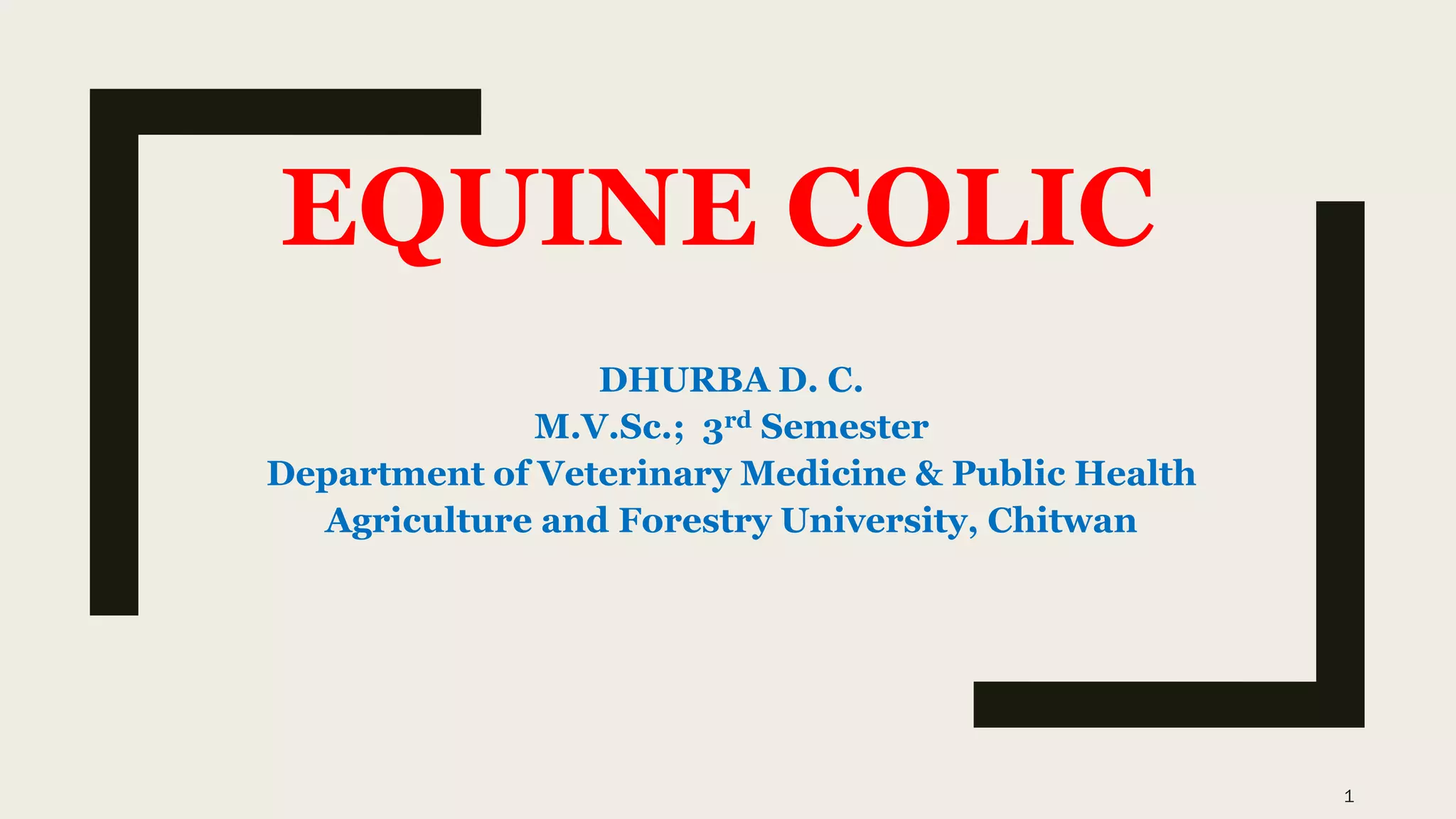 Colic in horse | PDF