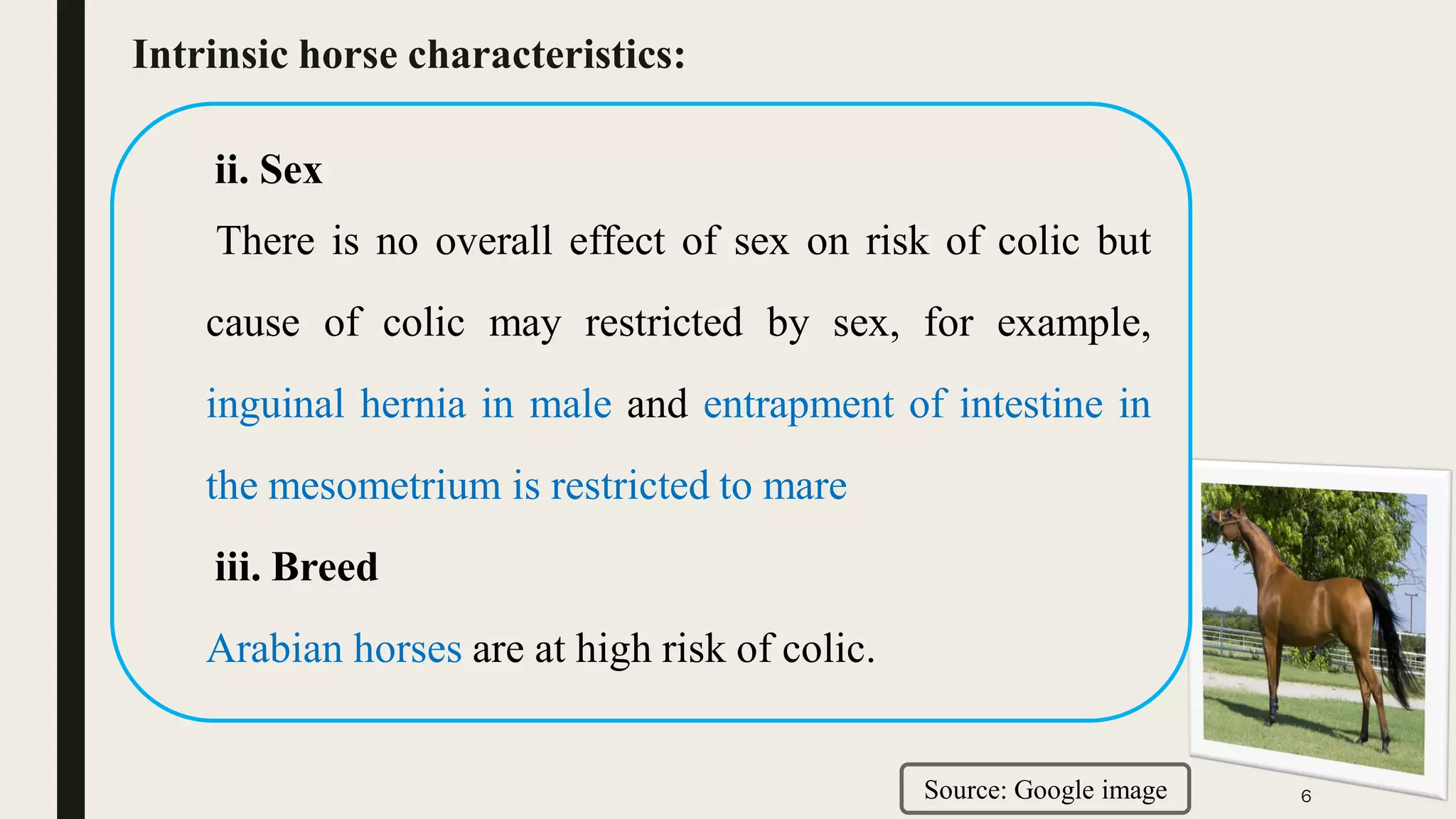 Colic in horse | PDF