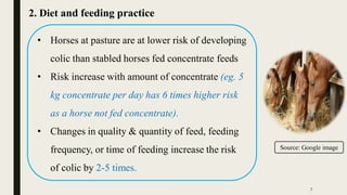 Colic in horse | PDF
