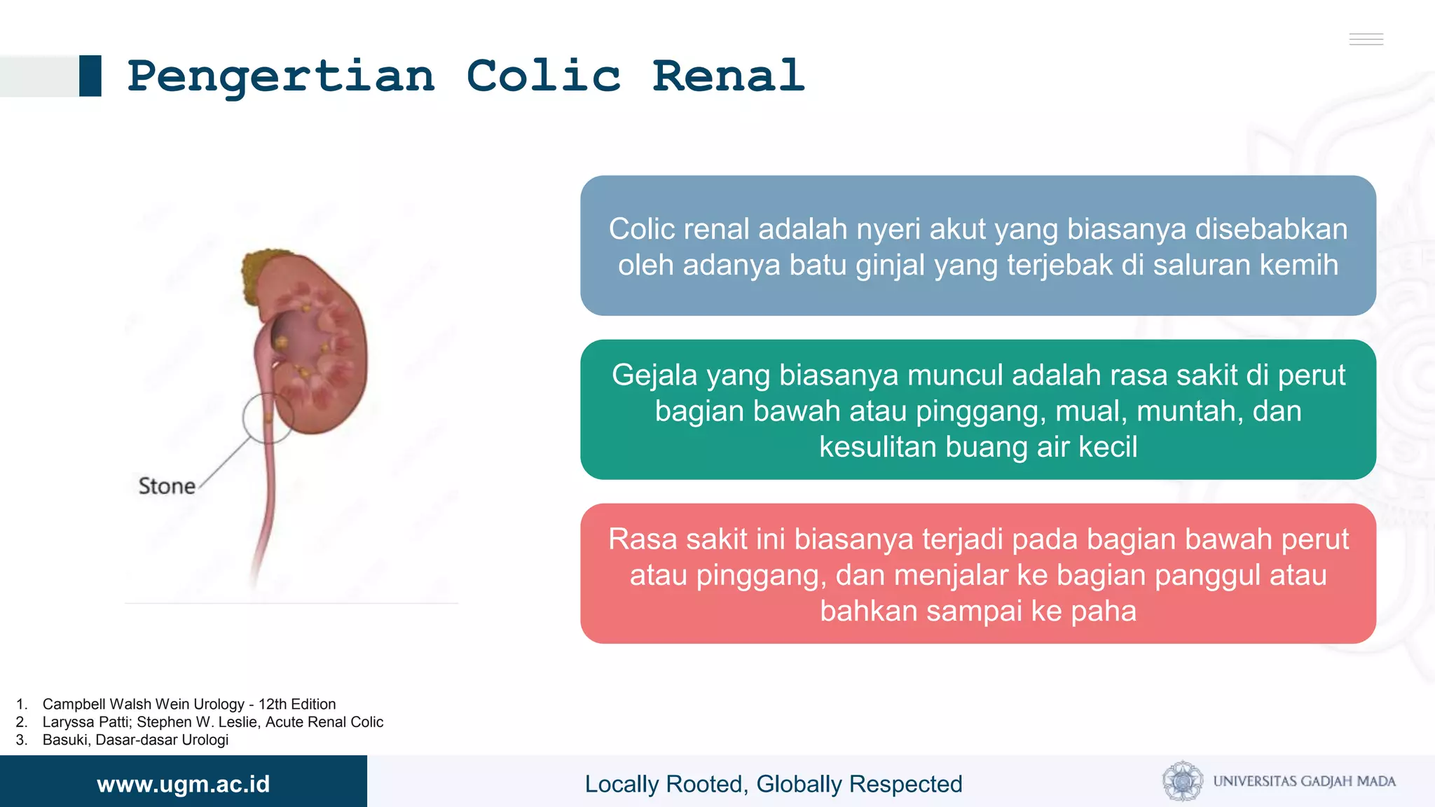 Colic Renal Pain - dr.TNY.pptx
