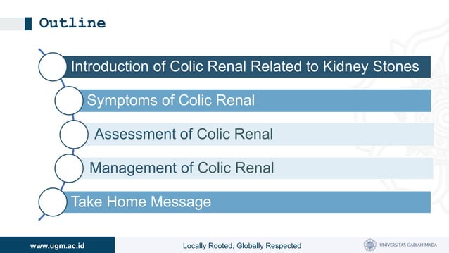 Colic Renal Pain - dr.TNY.pptx