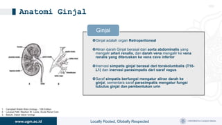 Colic Renal Pain - dr.TNY.pptx