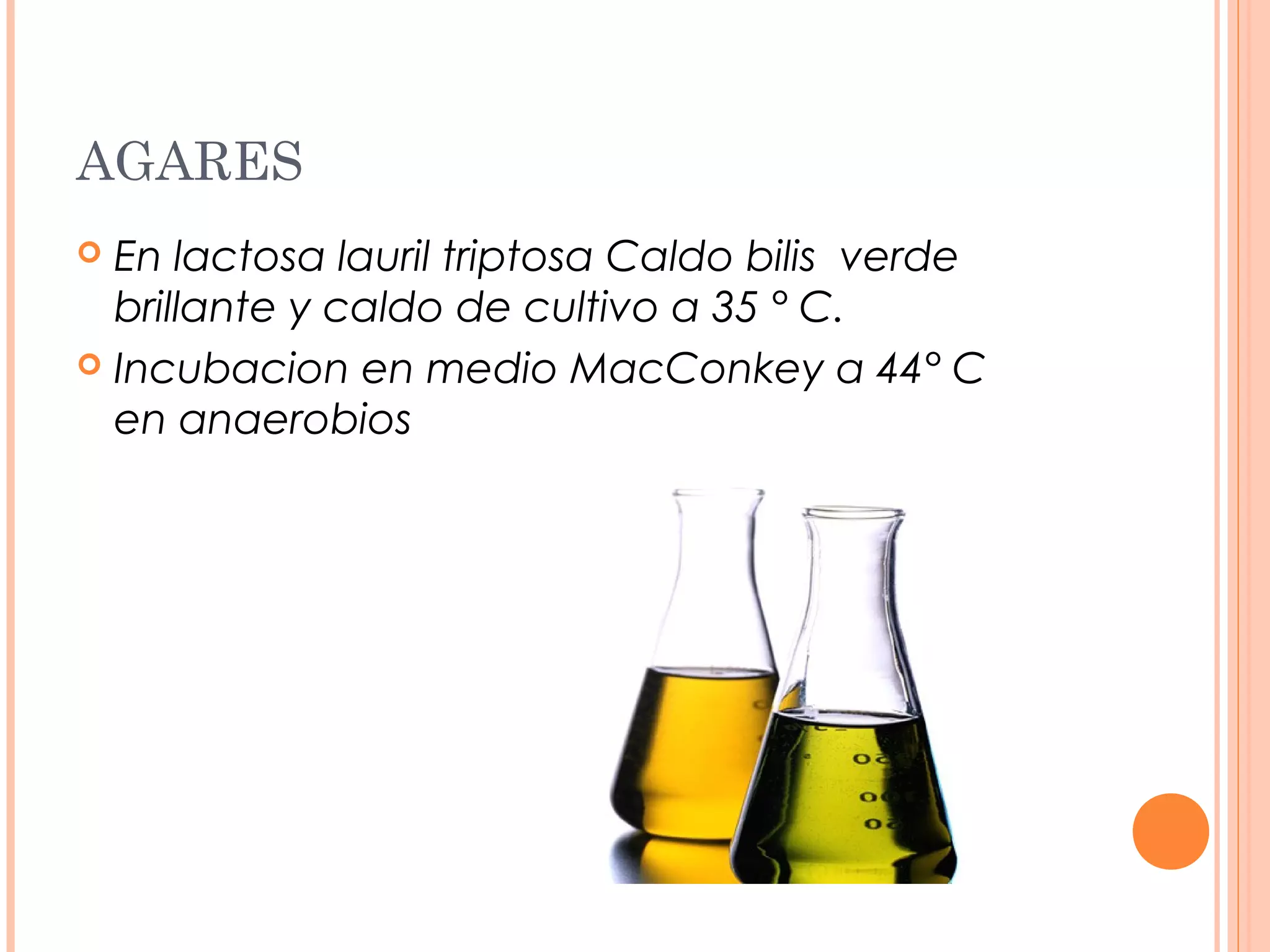 Coliformes fecales Fisiol | PPT