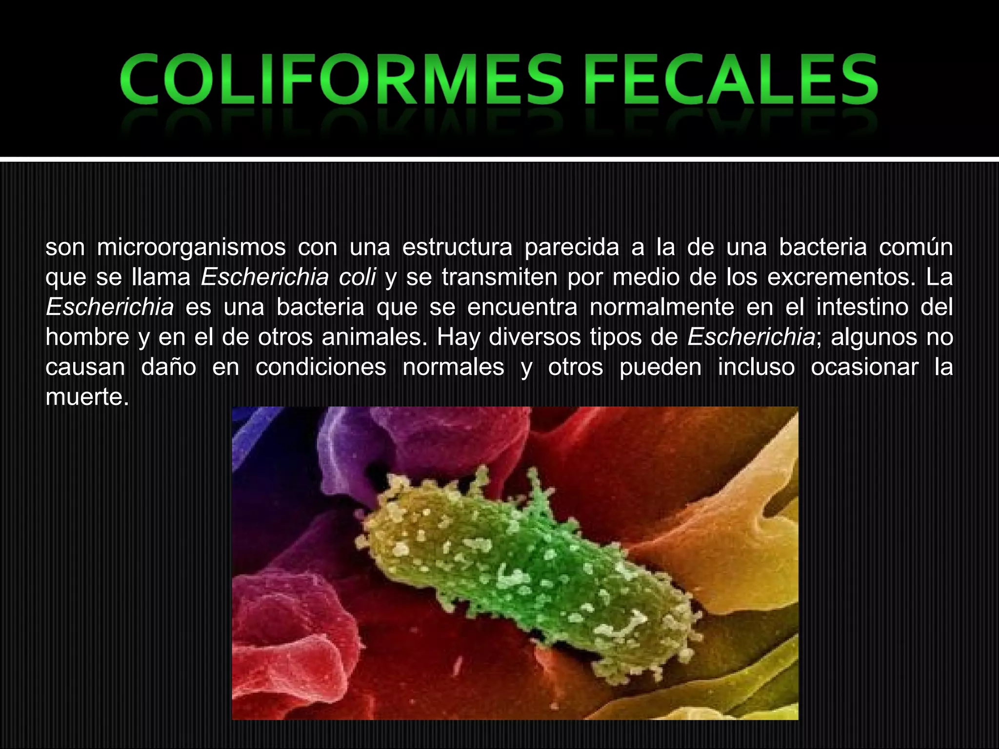 Coliformes fecales micro | PPT