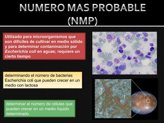 Coliformes fecales micro | PPT