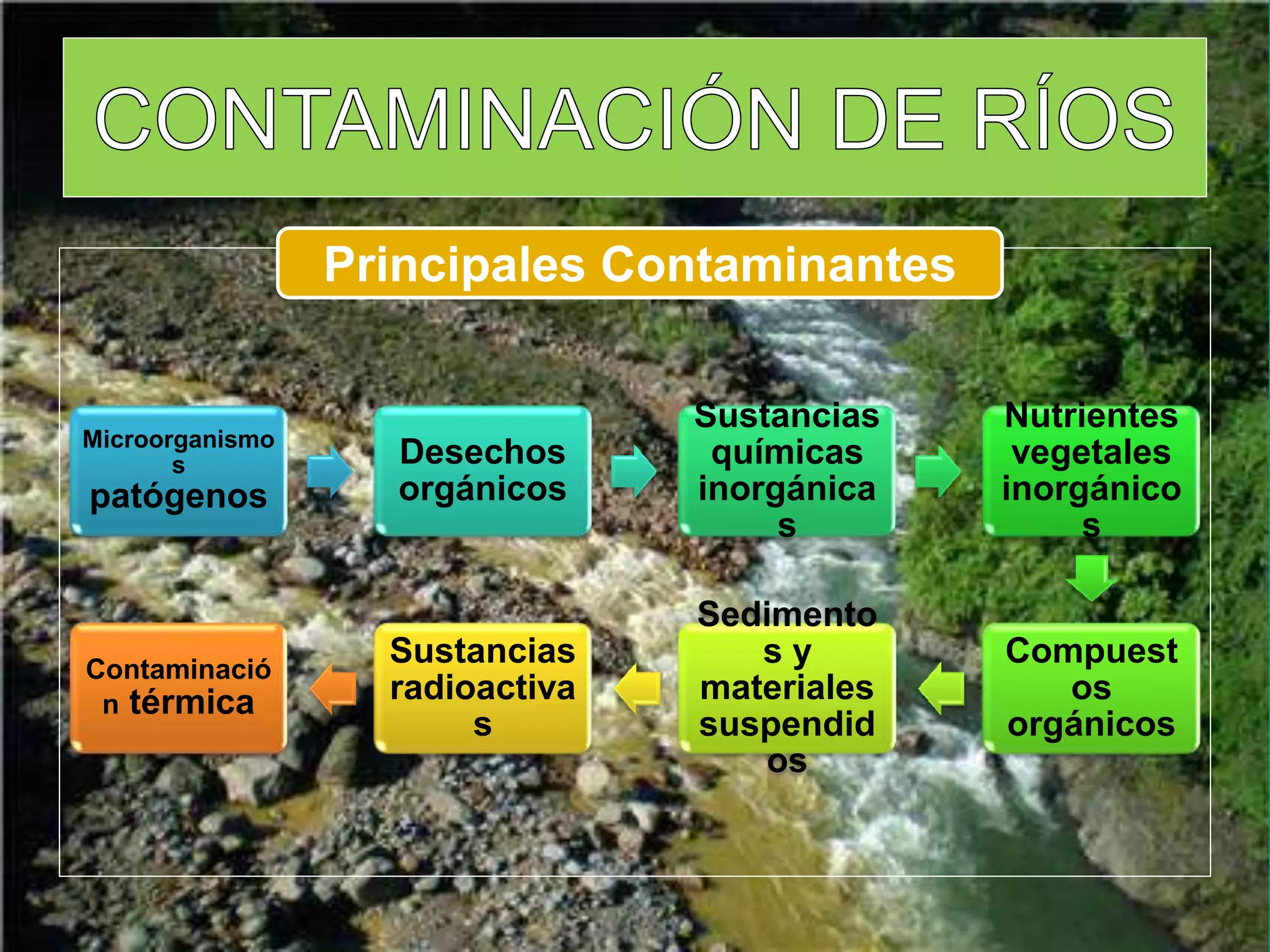 Coliformes totales y termotolerantes como contaminantes de agua de río ...