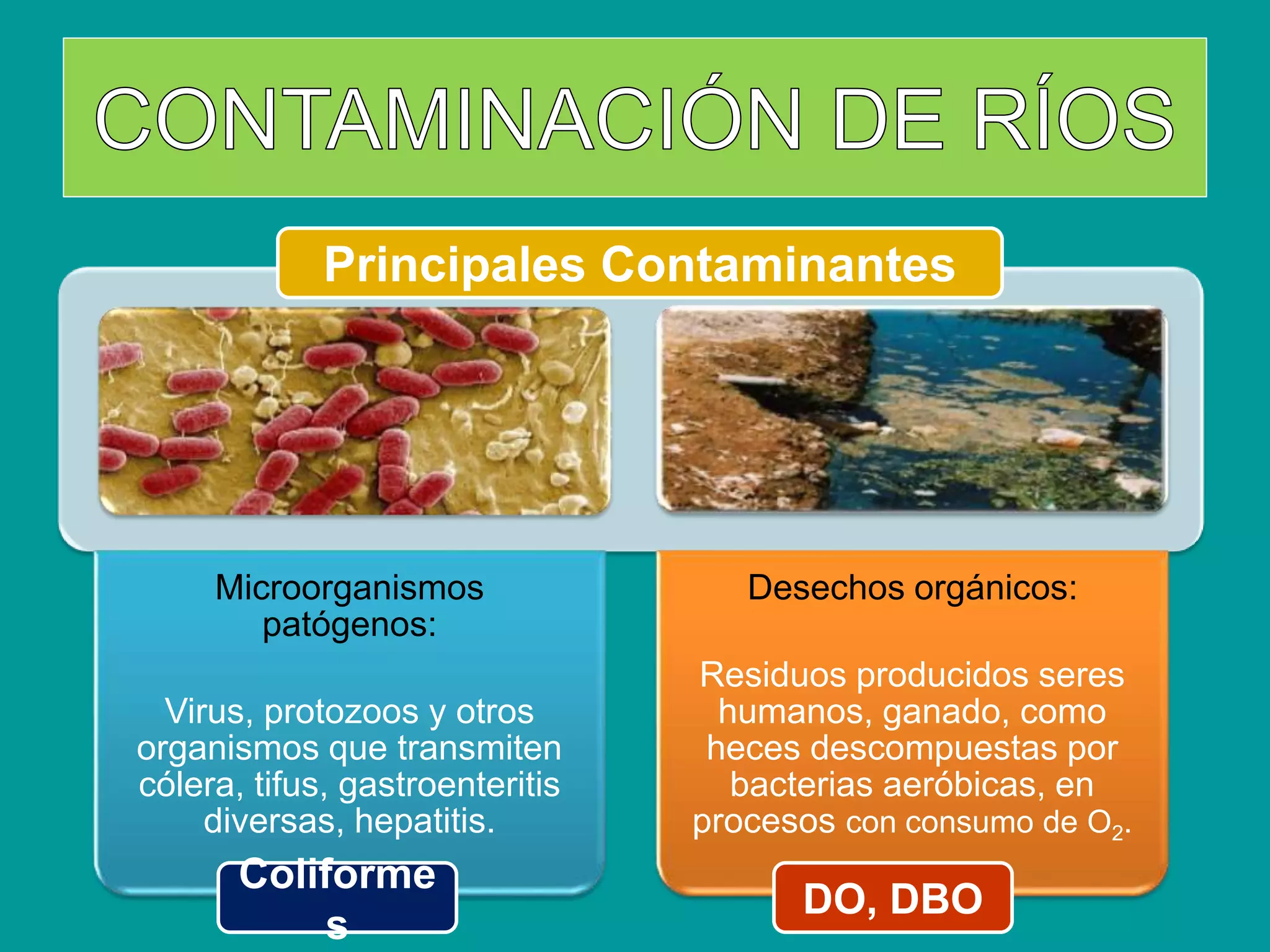 Coliformes totales y termotolerantes como contaminantes de agua de río ...