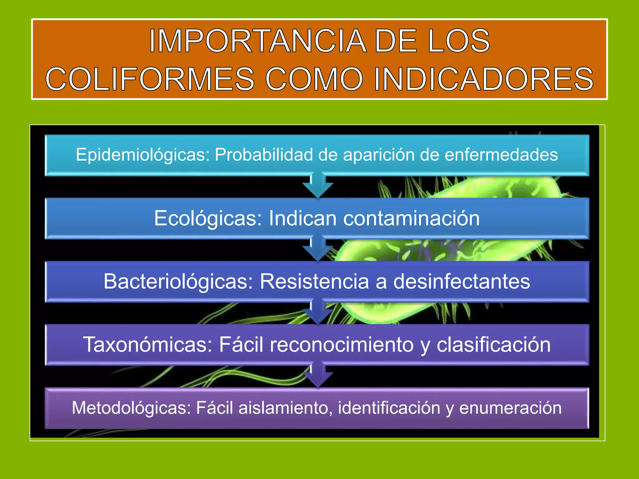 Coliformes totales y termotolerantes como contaminantes de agua de río ...