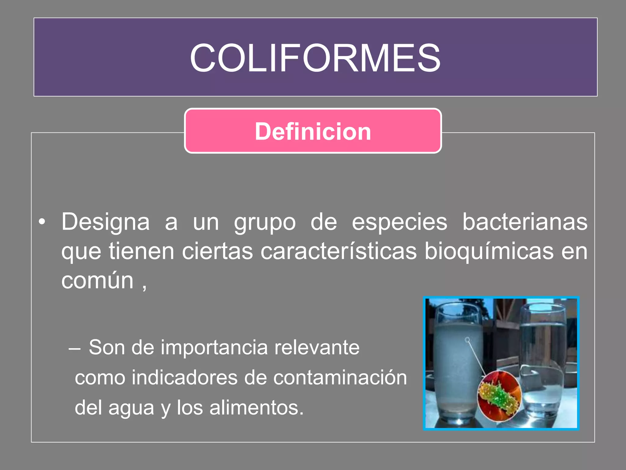 Coliformes totales y termotolerantes como contaminantes de agua de río ...