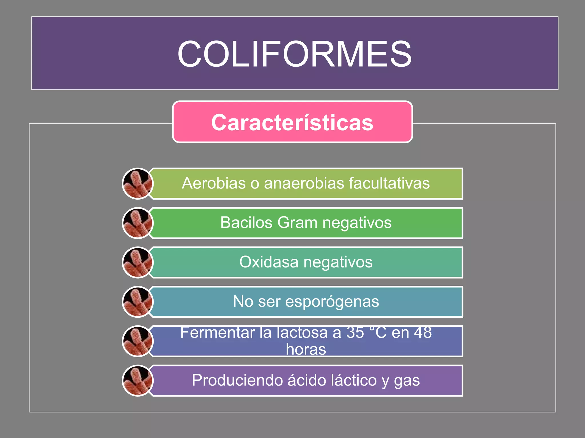 Coliformes totales y termotolerantes como contaminantes de agua de río ...