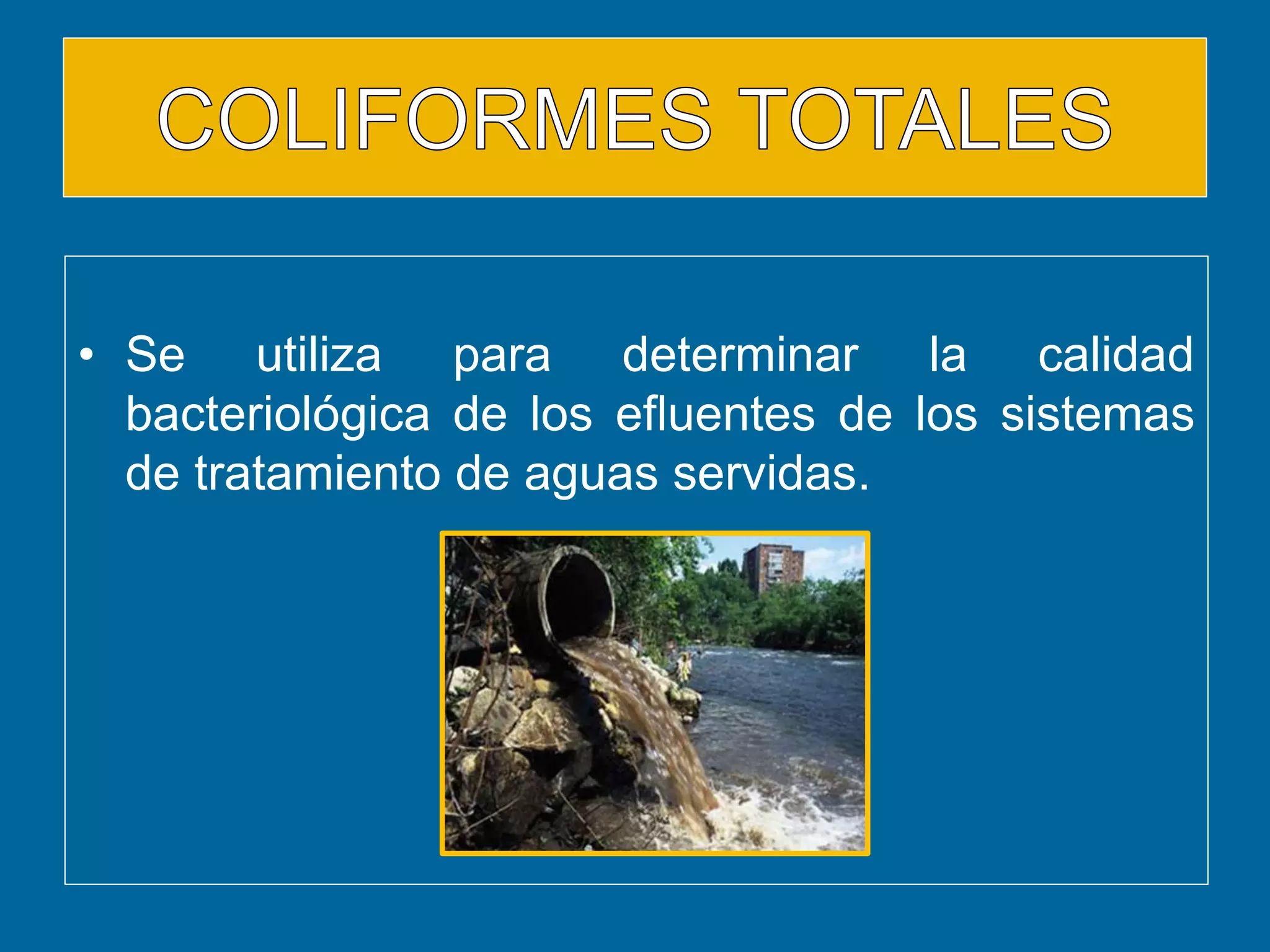Coliformes totales y termotolerantes como contaminantes de agua de río ...