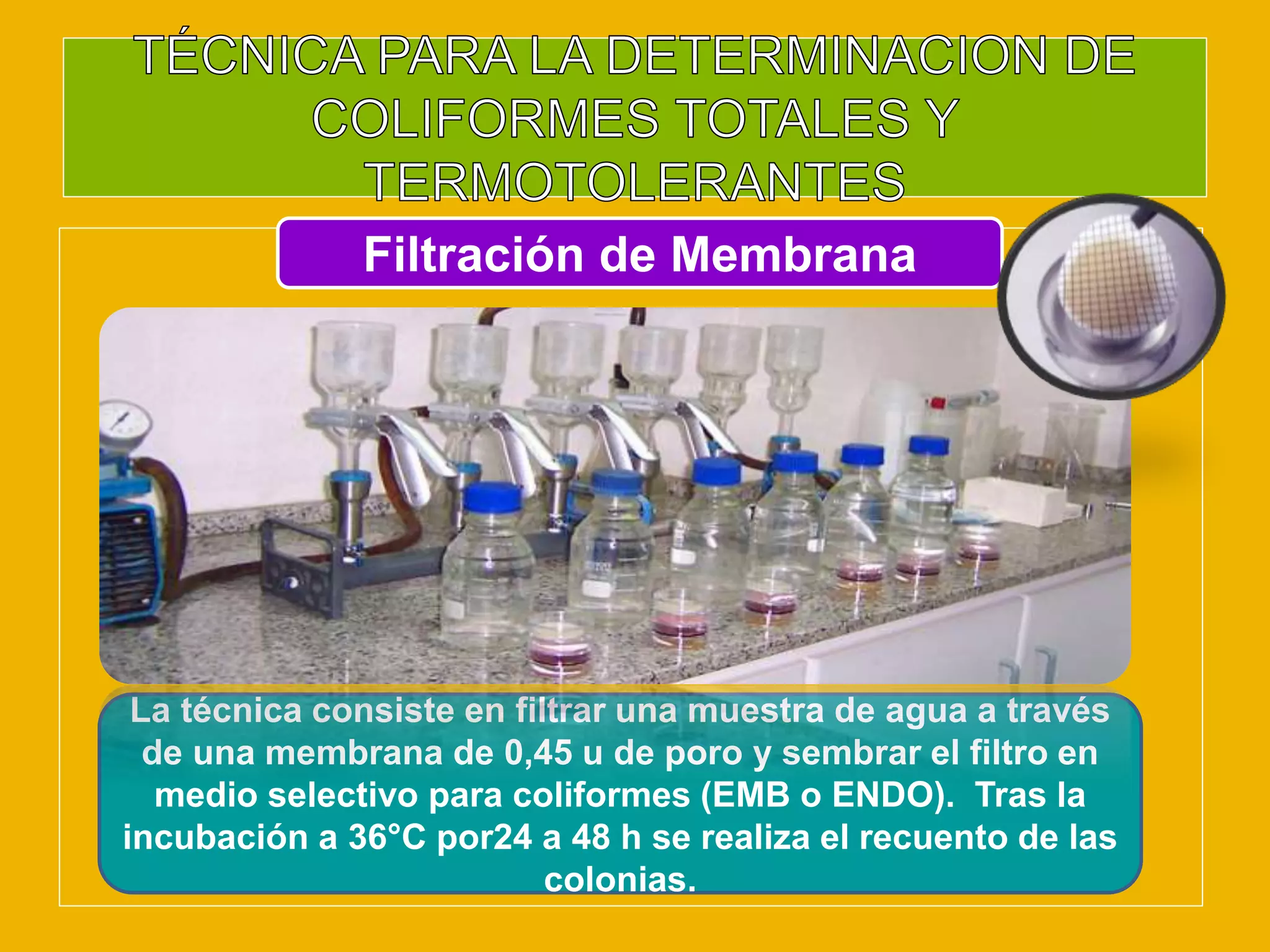 Coliformes totales y termotolerantes como contaminantes de agua de río ...