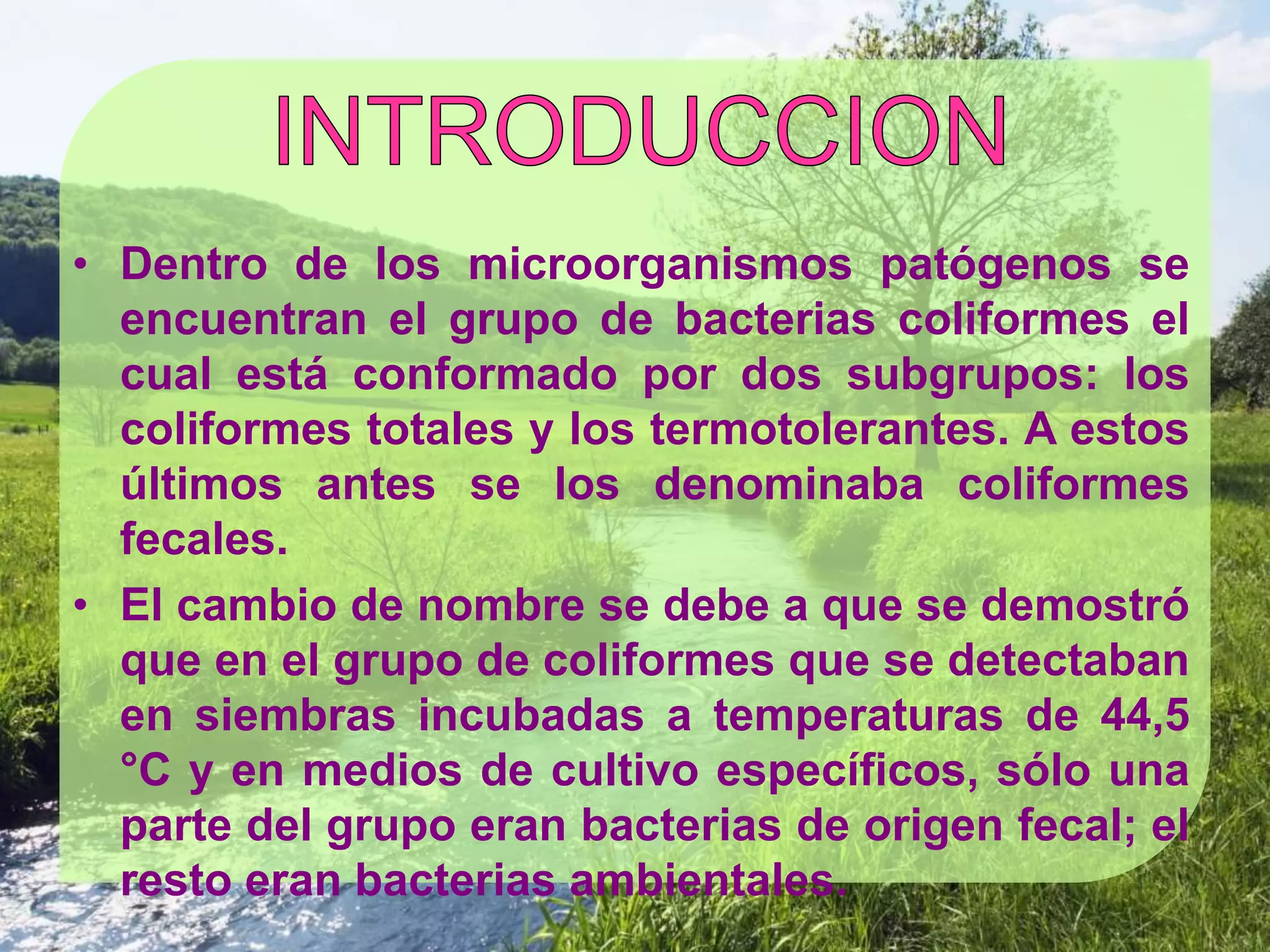 Coliformes totales y termotolerantes como contaminantes de agua de río ...
