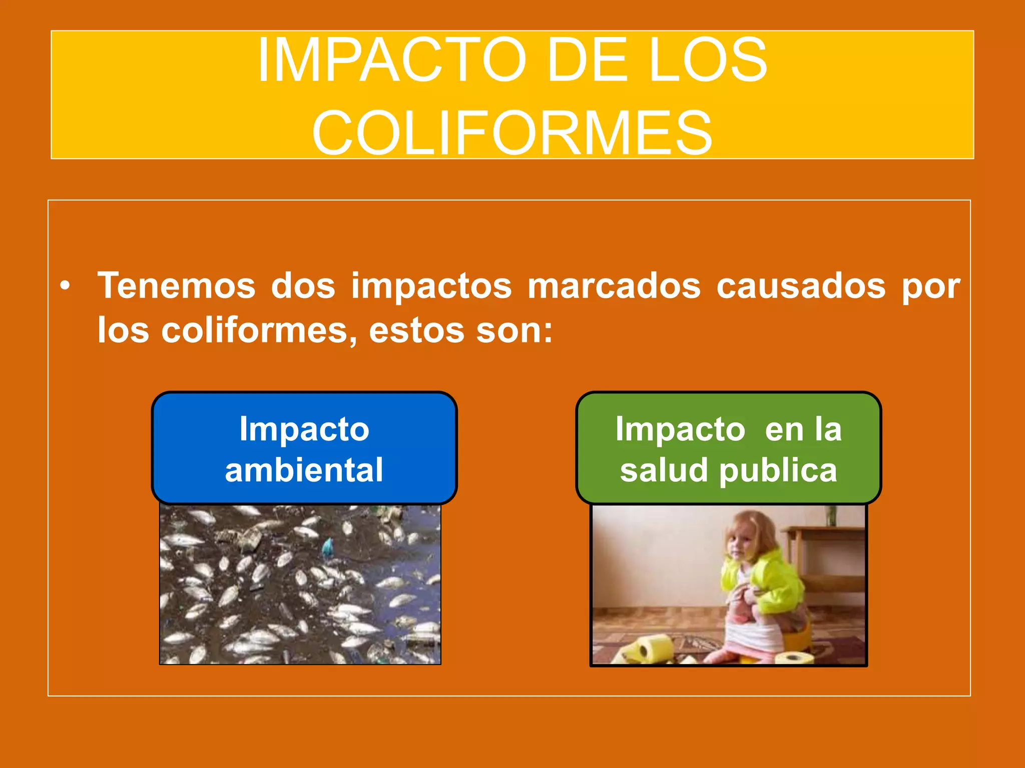 Coliformes totales y termotolerantes como contaminantes de agua de río ...