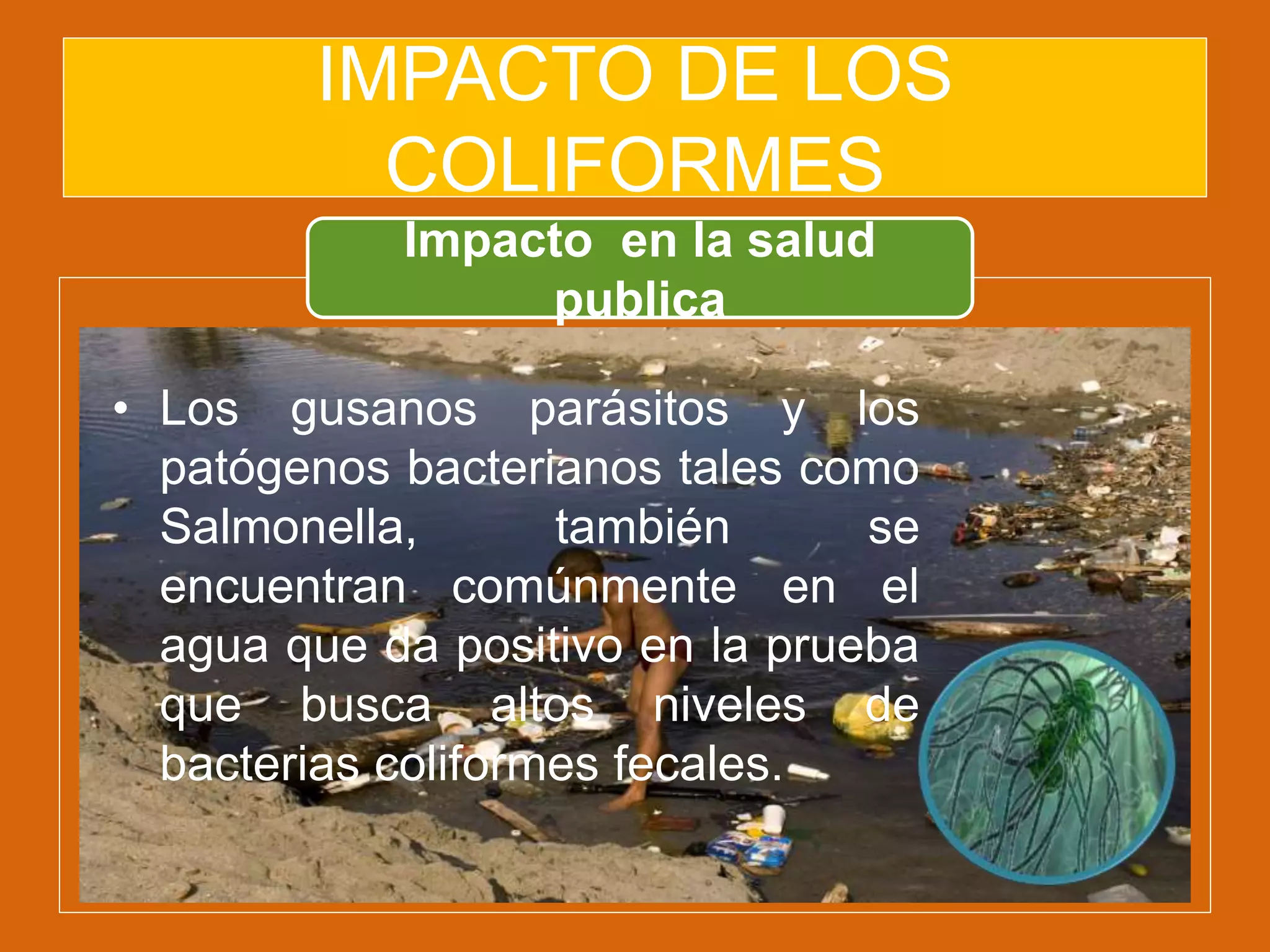 Coliformes totales y termotolerantes como contaminantes de agua de río ...