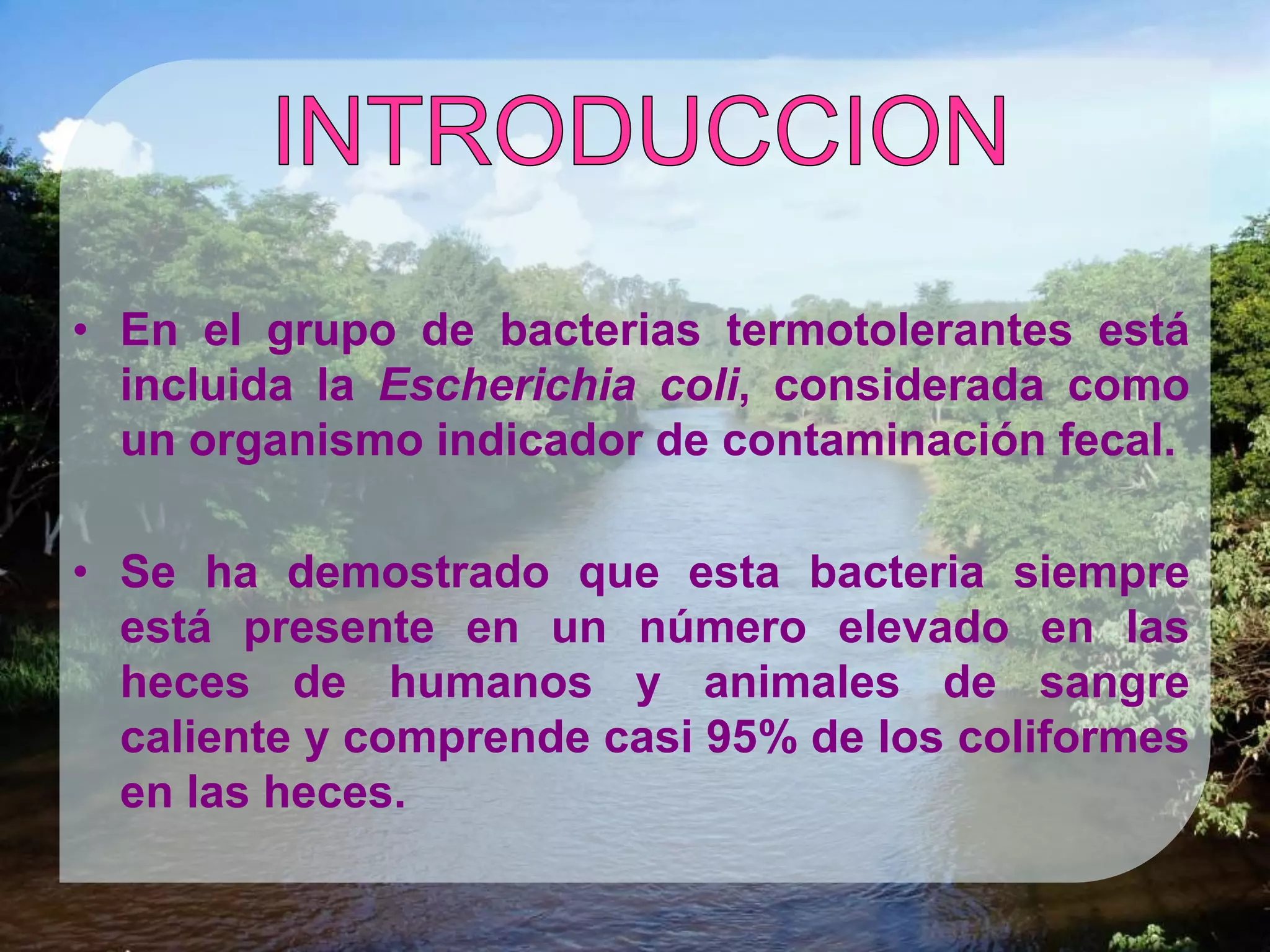 Coliformes totales y termotolerantes como contaminantes de agua de río ...