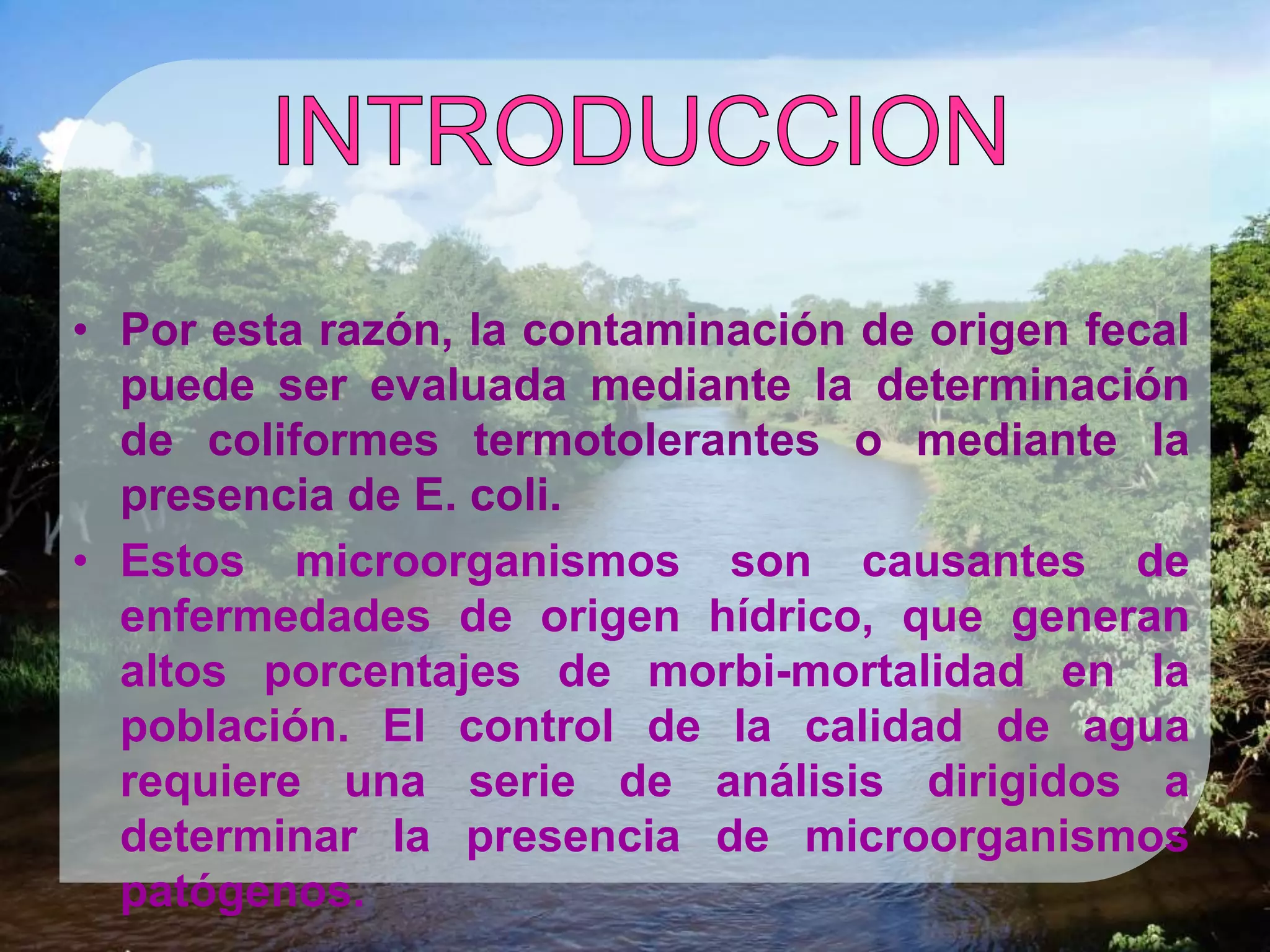 Coliformes totales y termotolerantes como contaminantes de agua de río ...