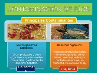 Coliformes totales y termotolerantes como contaminantes de agua de río ...