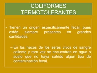 Coliformes totales y termotolerantes como contaminantes de agua de río ...