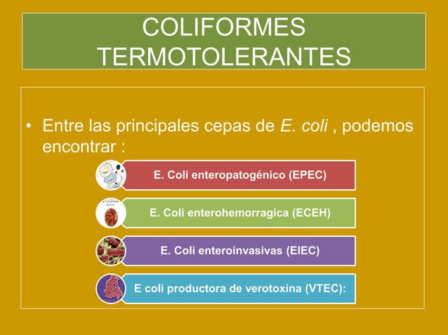 Coliformes totales y termotolerantes como contaminantes de agua de río ...