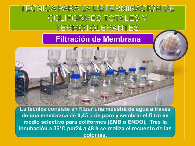 Coliformes totales y termotolerantes como contaminantes de agua de río ...