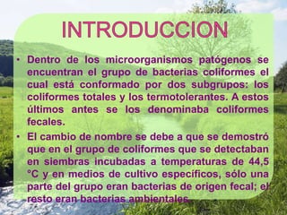 Coliformes totales y termotolerantes como contaminantes de agua de río ...