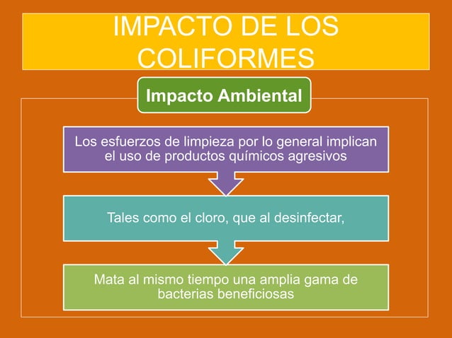 Coliformes totales y termotolerantes como contaminantes de agua de río ...