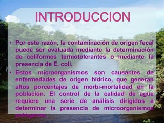 Coliformes totales y termotolerantes como contaminantes de agua de río ...