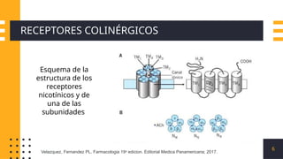 FARMACOS COLINERGICOS Y ANTICOLINERGICO S.pptx
