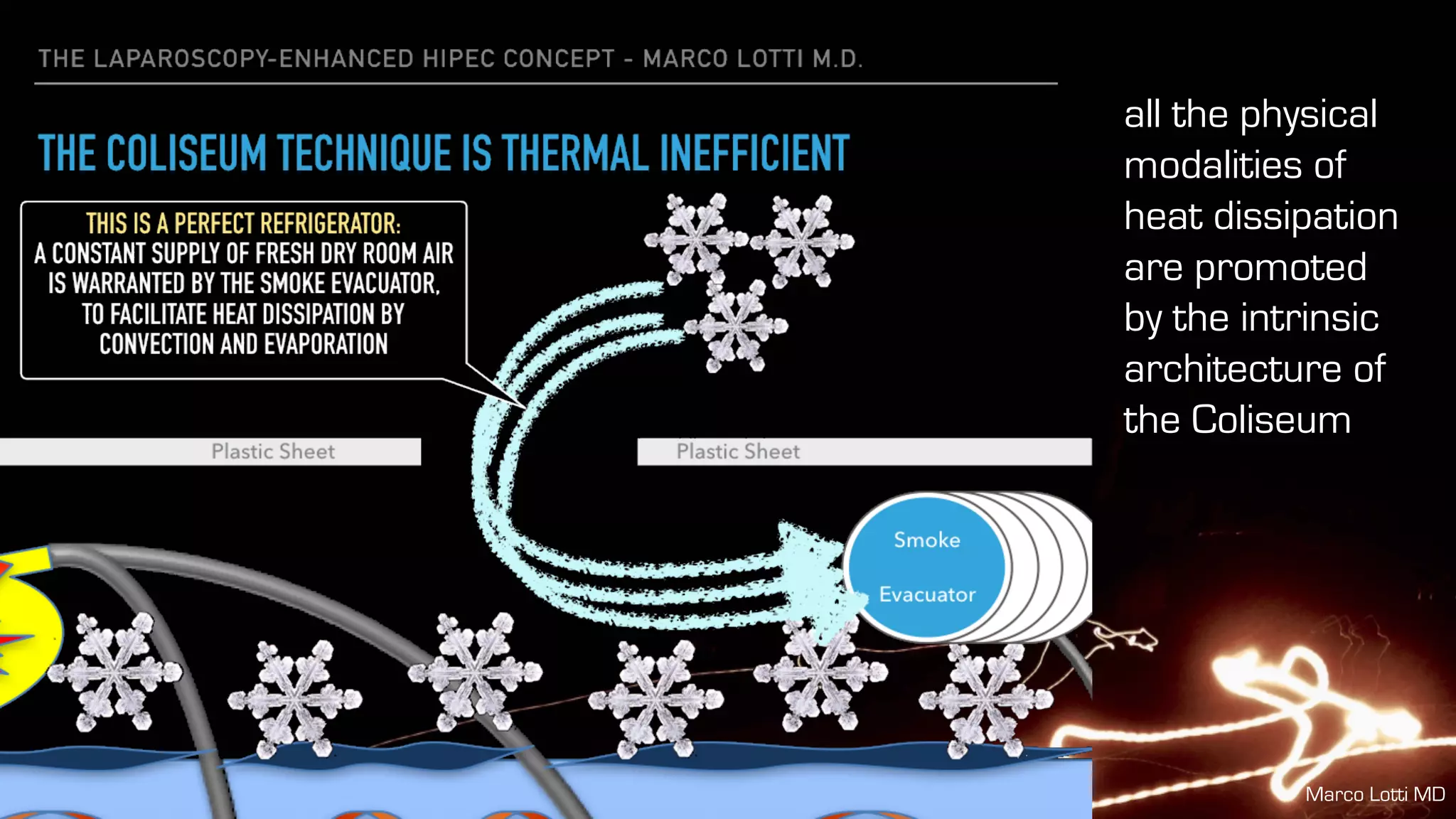 A Coliseum with frail foundations: a critical analysis of the state-of ...