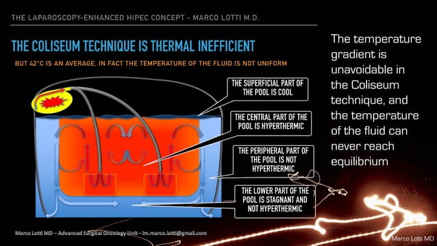 A Coliseum with frail foundations: a critical analysis of the state-of ...