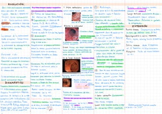 Enfermedad inflamatoria intestinal Colitis ulcerosa.pdf