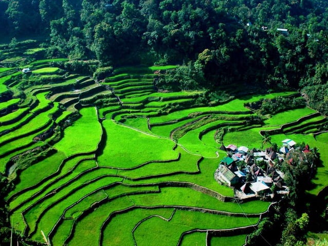 Collaboration in libraries | PPT