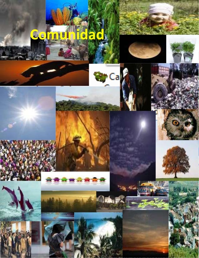 Collage comunidad