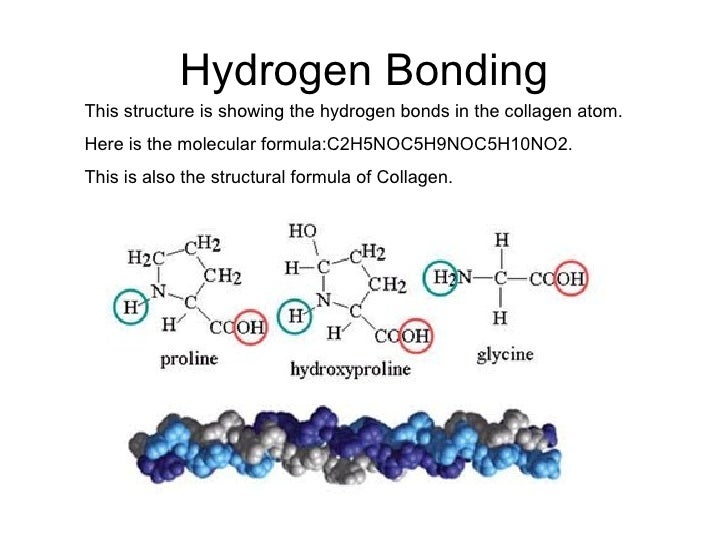Collagen