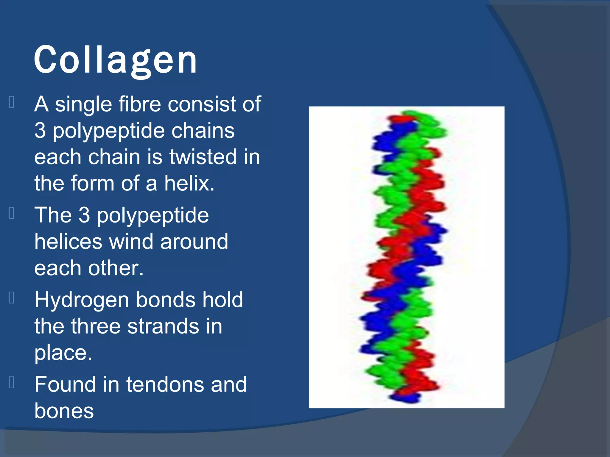 Collagen | PPT