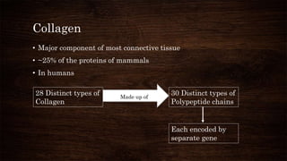 Collagen | PPTX