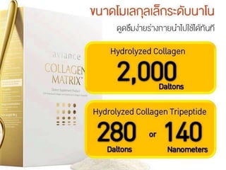 Collagen | PPTX