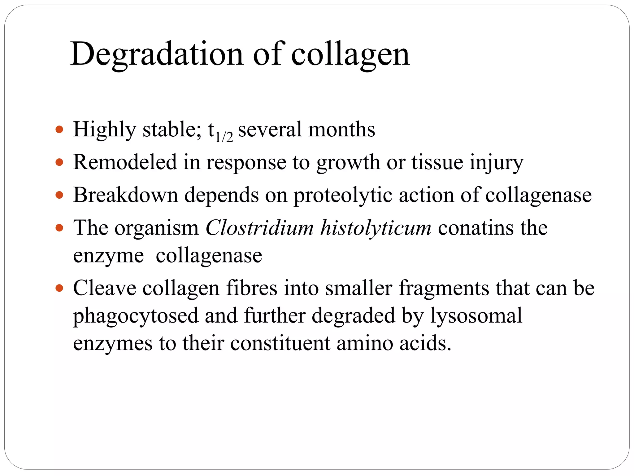 Collagen | PPTX