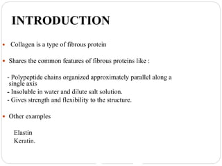Collagen | PPTX