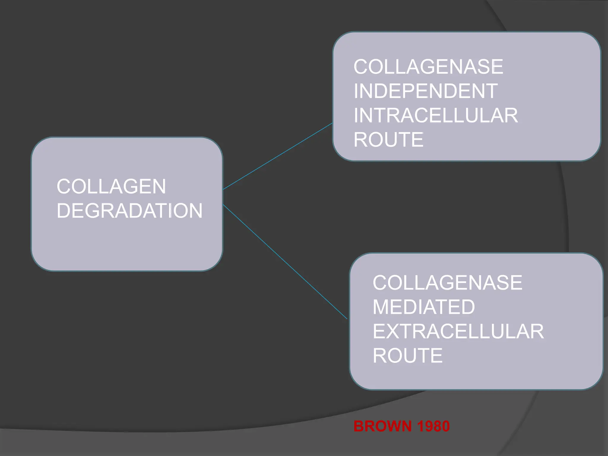 collagen in periodontics | PPTX