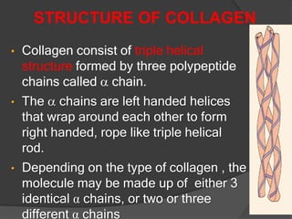 collagen in periodontics | PPTX