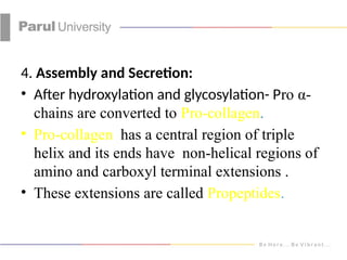 structure of collagen and functions of collagen | PPTX