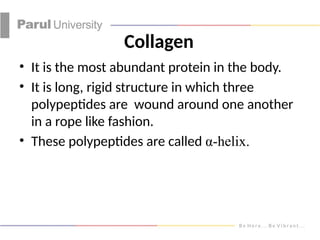 structure of collagen and functions of collagen | PPTX