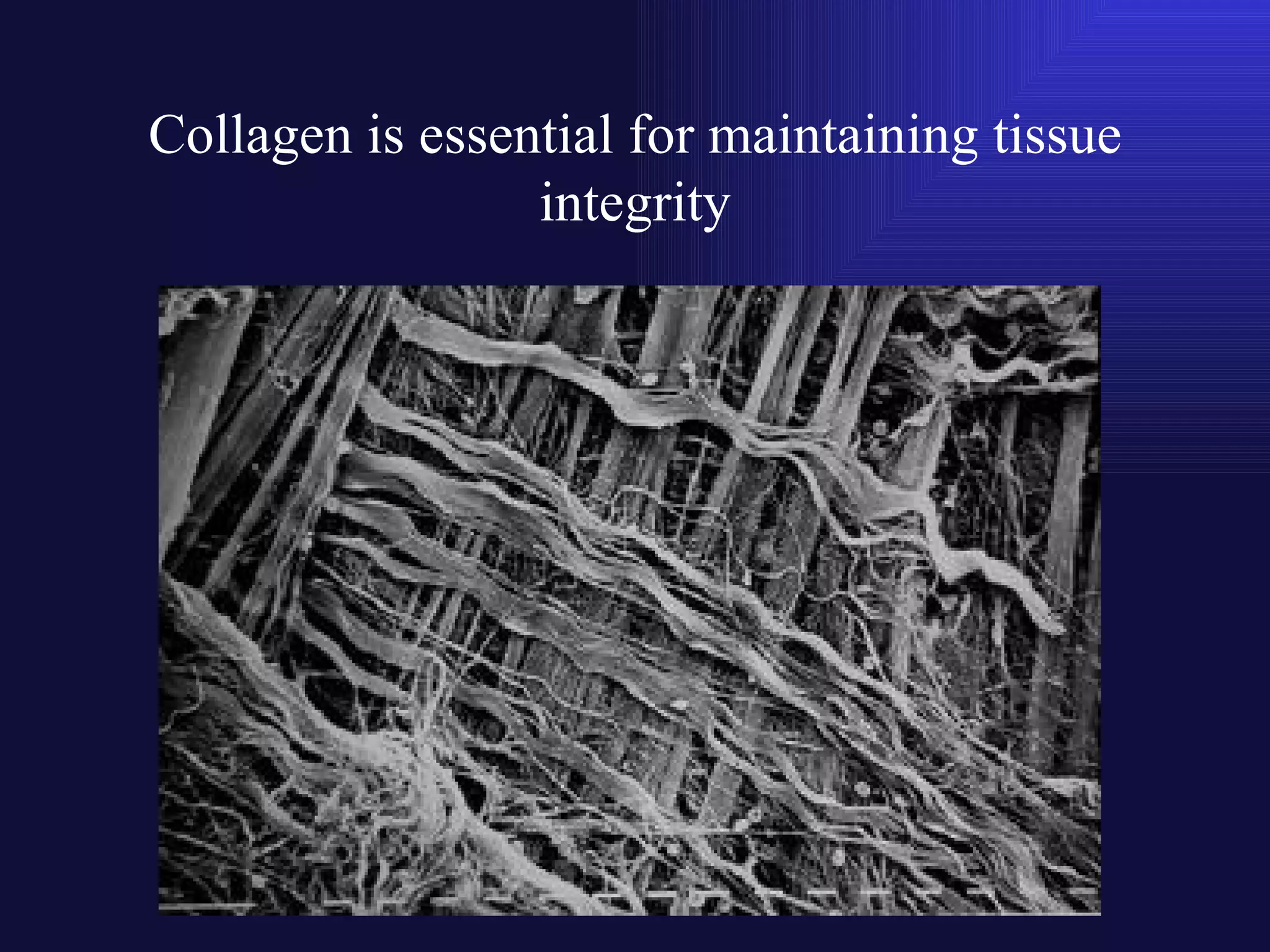 Collagen Biochemistry | PPT