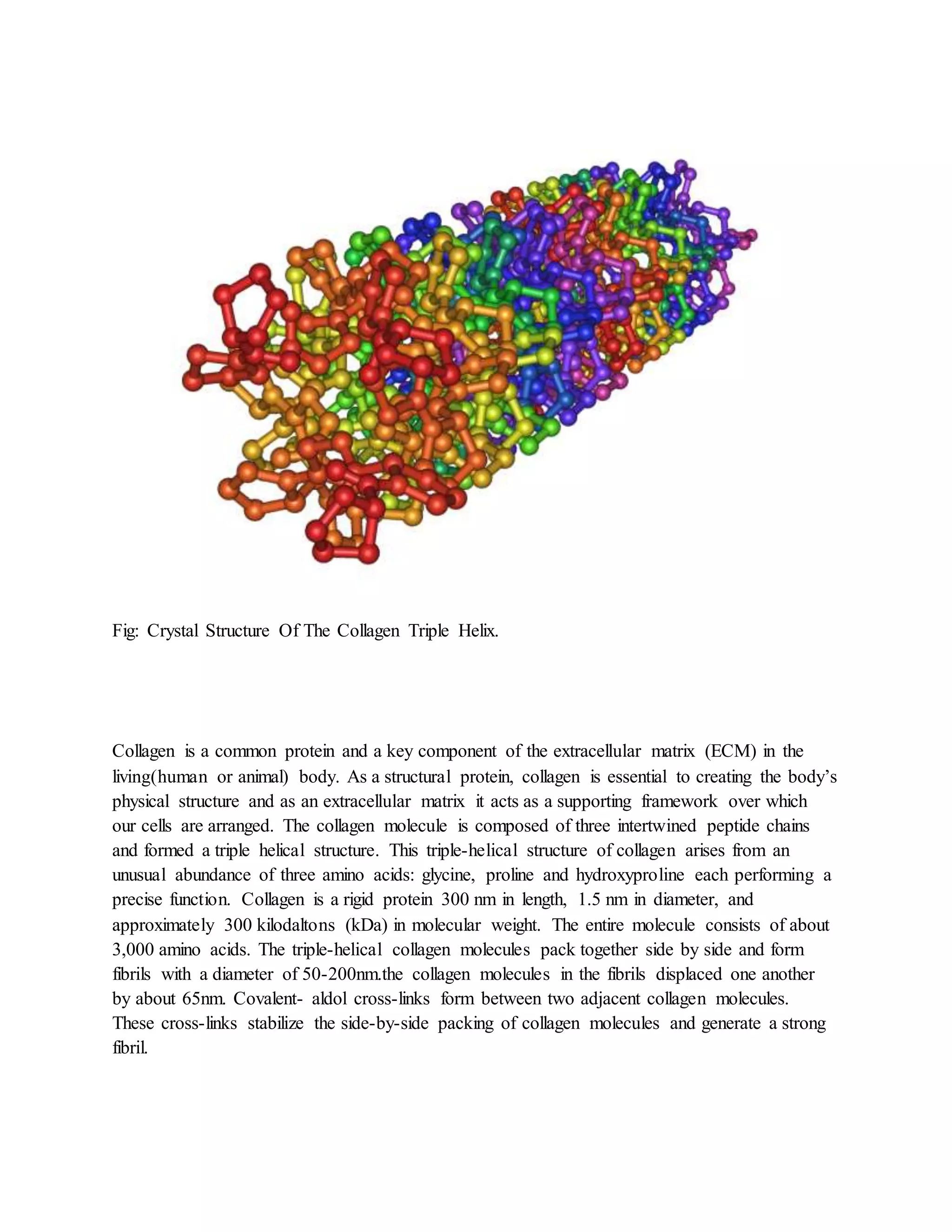 Collagen changing the course of the future by Md.Iftekhar Mahmood & Muh. Amdadul Hoque | PDF