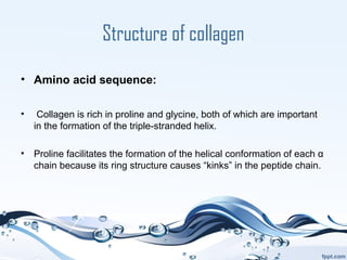 Collagen | PPT