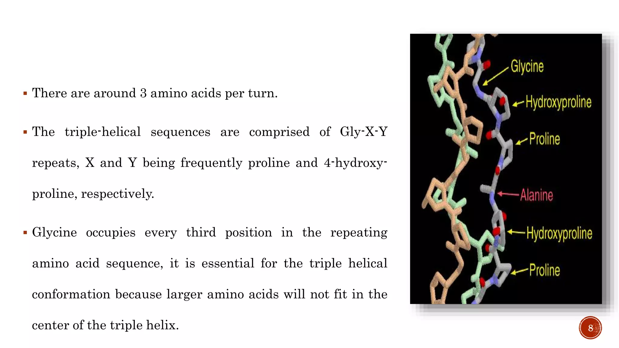 Collagen and collagen disorders | PPTX